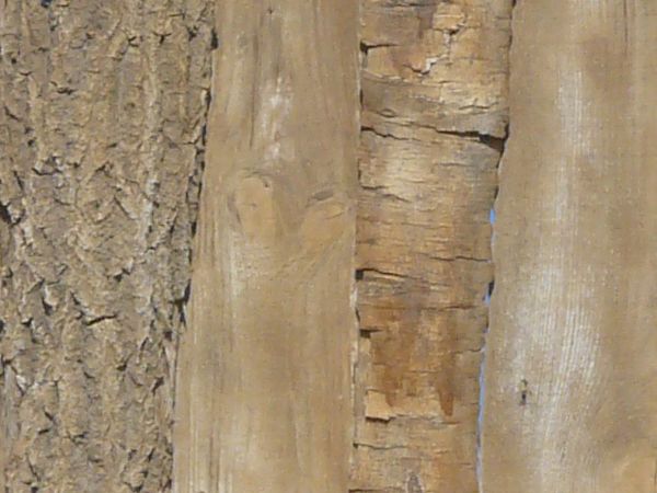 aged rough plank surface 0033 - Texturelib